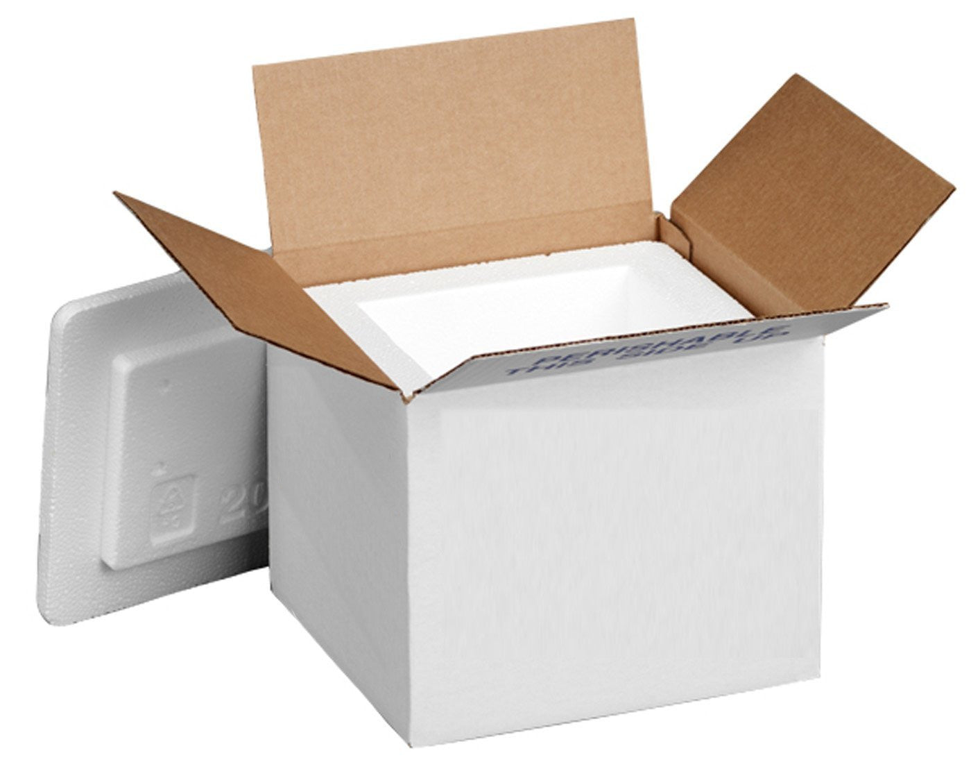 Dry Ice Shipping Boxes